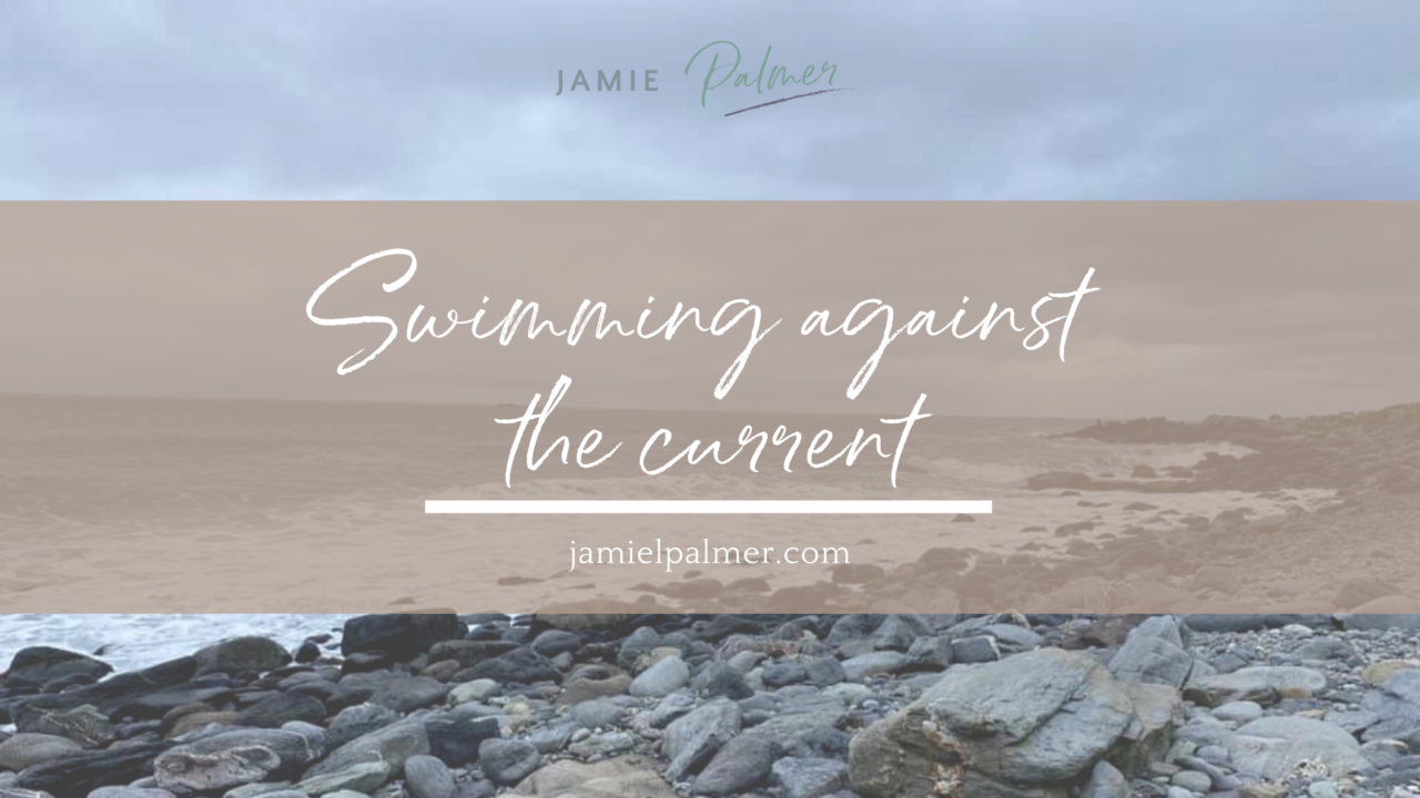 Swimming against the current | Jamie L Palmer