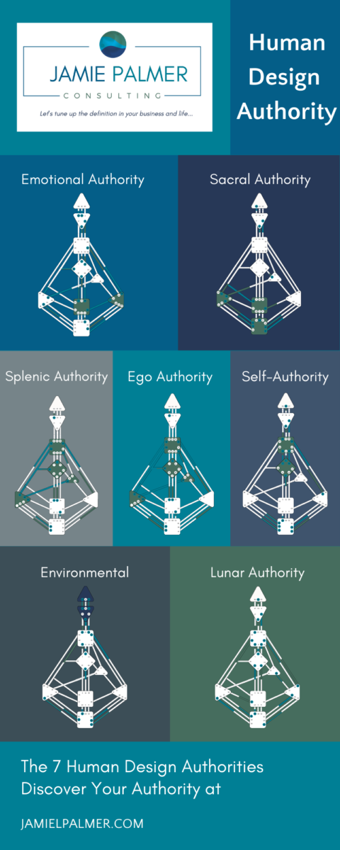 Human Design Authority - Jamie Palmer Human Design For Business