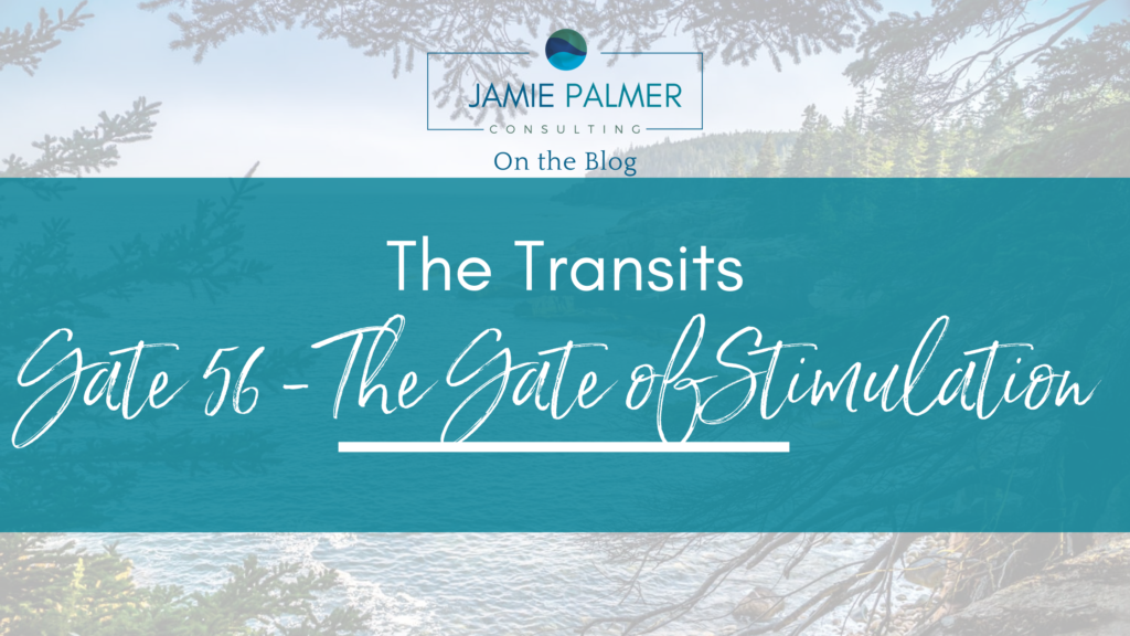 Human Design Transits - Gate 56 - The Gate of Stimulation- The Wanderer ...