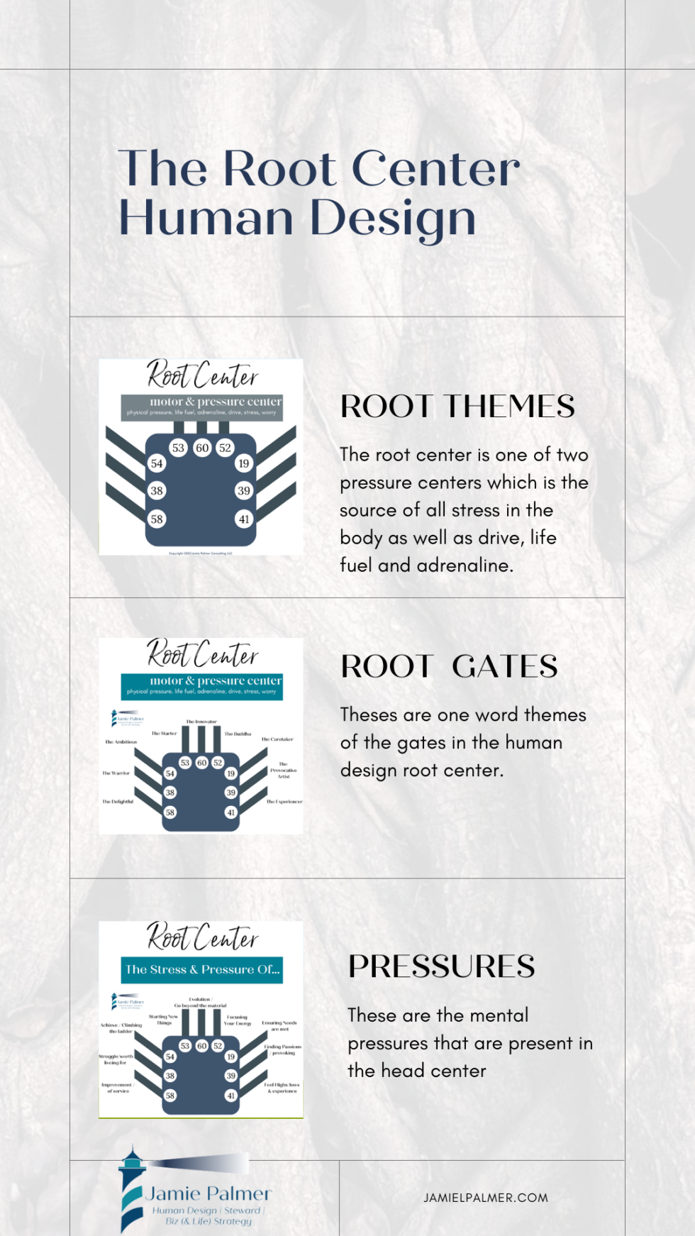 Human Design Root Center - What is the Root Center?