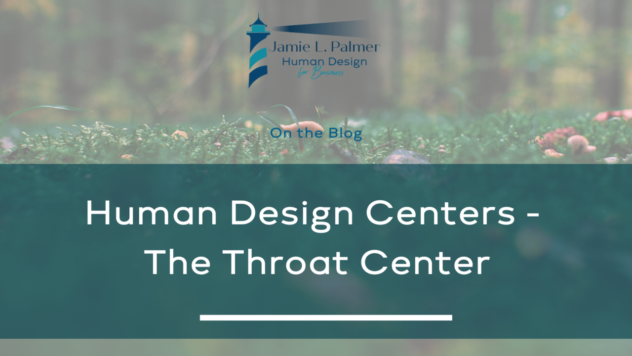 Human Design Business Coach & Strategist Jamie Palmer