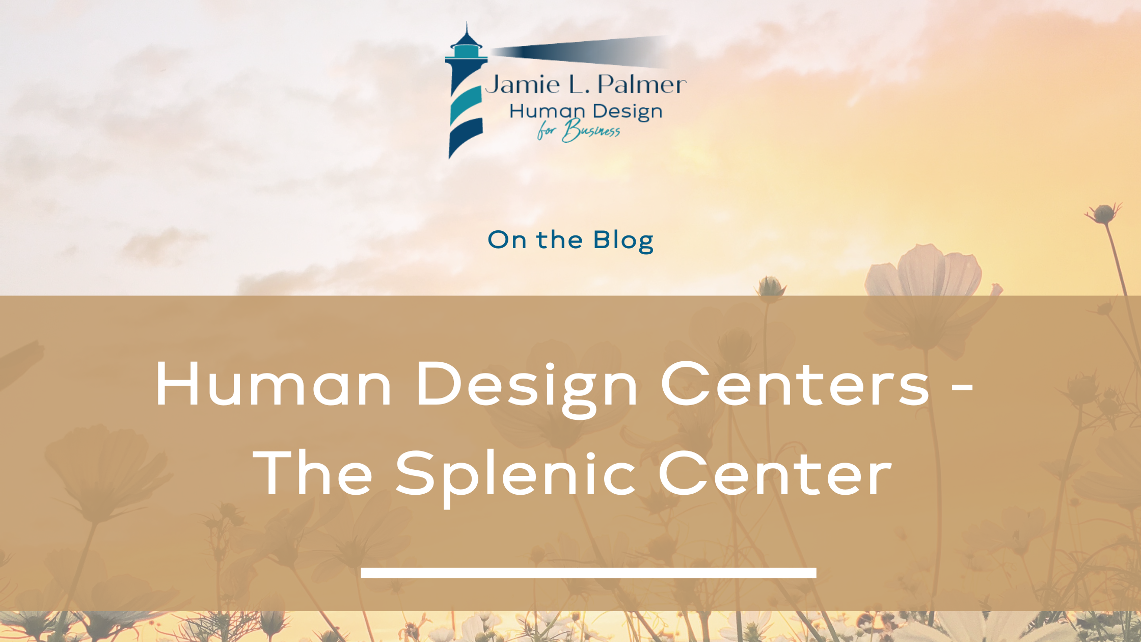 Human Design Centers - The Splenic Center - Jamie Palmer Human Design ...