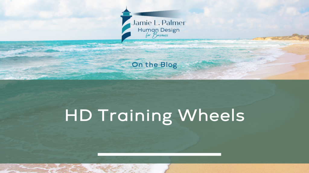 Human Design Type & Strategy - The Training Wheels - Jamie Palmer Human ...