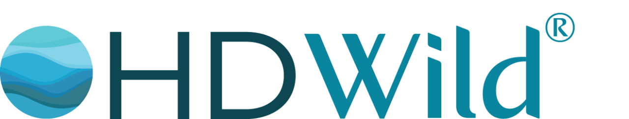 Human Design Centers Explained - Defined, Undefined, & Open Centers ...
